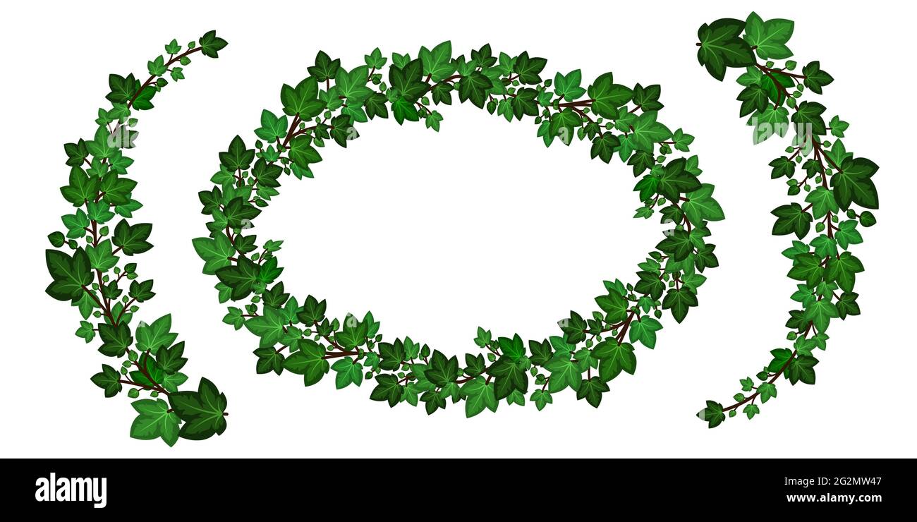 Grüner Efeu-Kranz und wirbelnde Äste. Dekorativer Rahmen und Bordüren ...