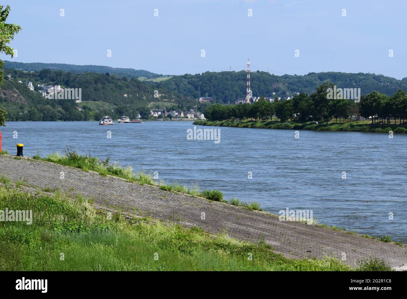 Erpel am rhein -Fotos und -Bildmaterial in hoher Auflösung – Alamy