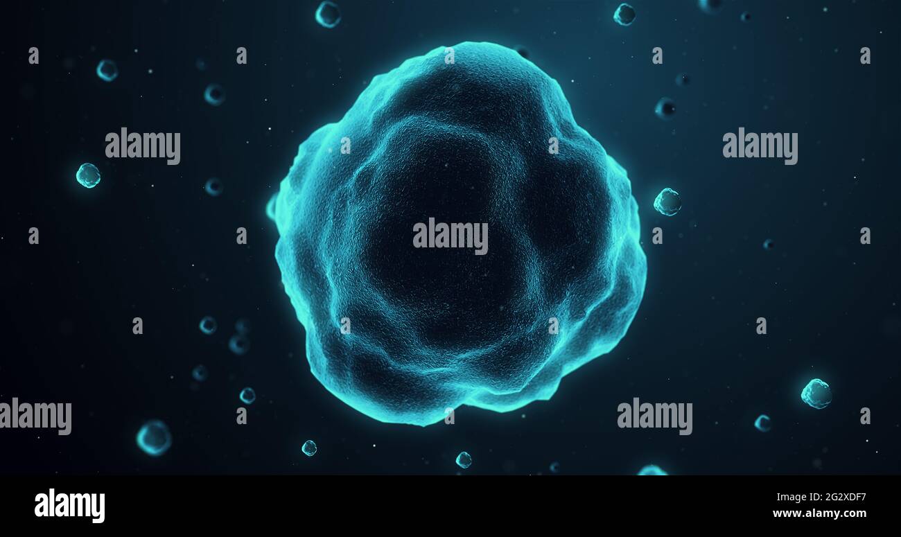 Nervenzelle mikroskop -Fotos und -Bildmaterial in hoher Auflösung – Alamy