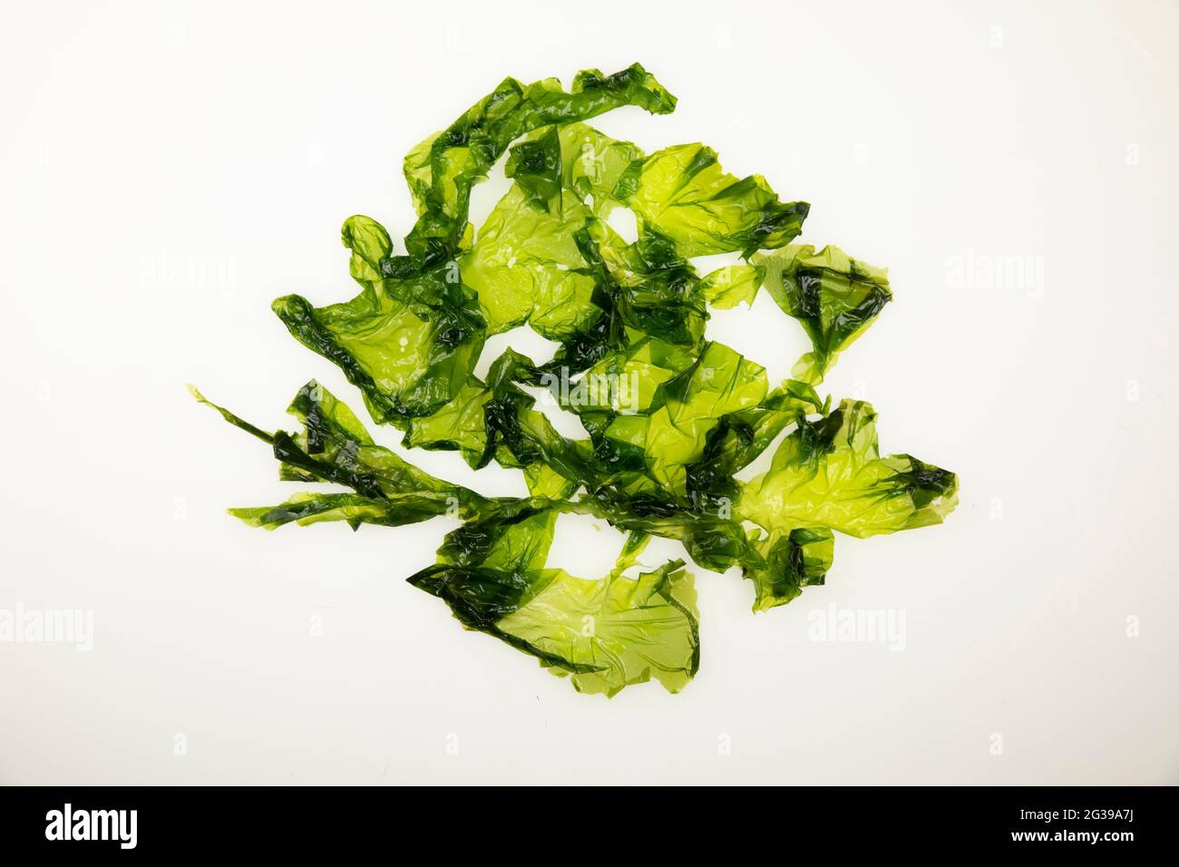 Meer von algen -Fotos und -Bildmaterial in hoher Auflösung – Alamy