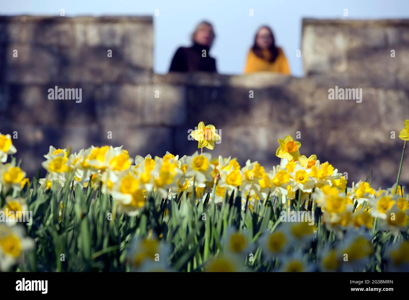 12 jährige mädchen -Fotos und -Bildmaterial in hoher Auflösung – Alamy