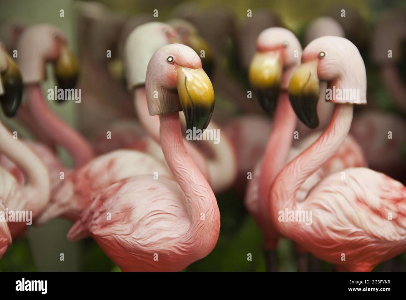Symbole floridas -Fotos und -Bildmaterial in hoher Auflösung – Alamy