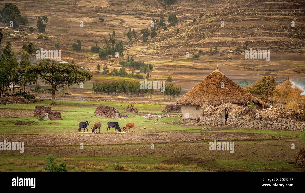 Life in the countryside -Fotos und -Bildmaterial in hoher Auflösung – Alamy
