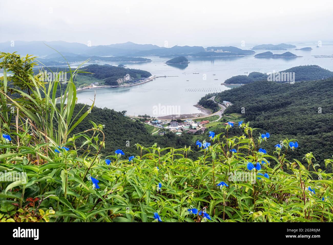 Jindo insel -Fotos und -Bildmaterial in hoher Auflösung – Alamy