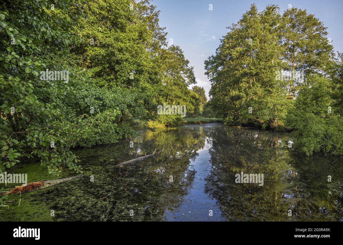 Hof saale -Fotos und -Bildmaterial in hoher Auflösung – Alamy