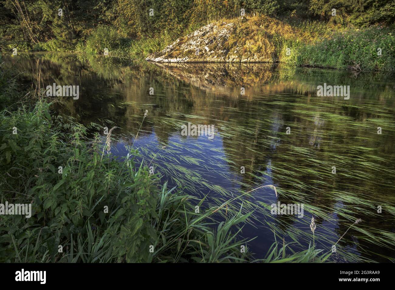 Hof der saale -Fotos und -Bildmaterial in hoher Auflösung – Alamy