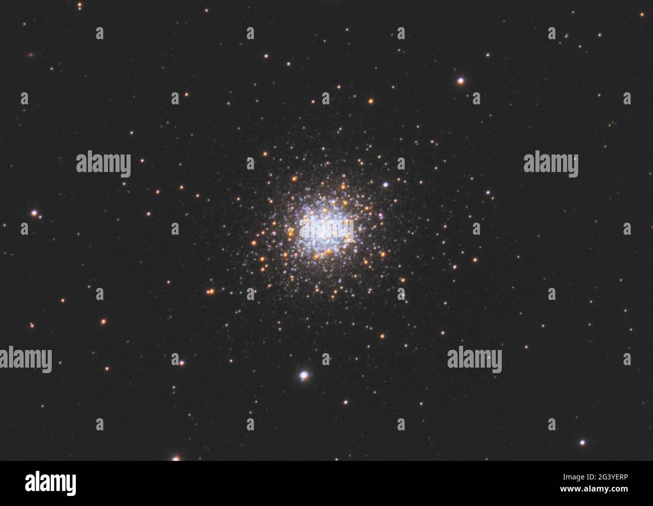 Nahaufnahme von herkules -Fotos und -Bildmaterial in hoher Auflösung – Alamy