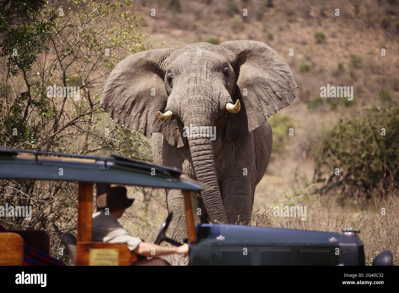 KENIA, MASAI MARA NATIONALPARK, COTTARS 1920 CAMP, ALTE TRADITIONELLE ...