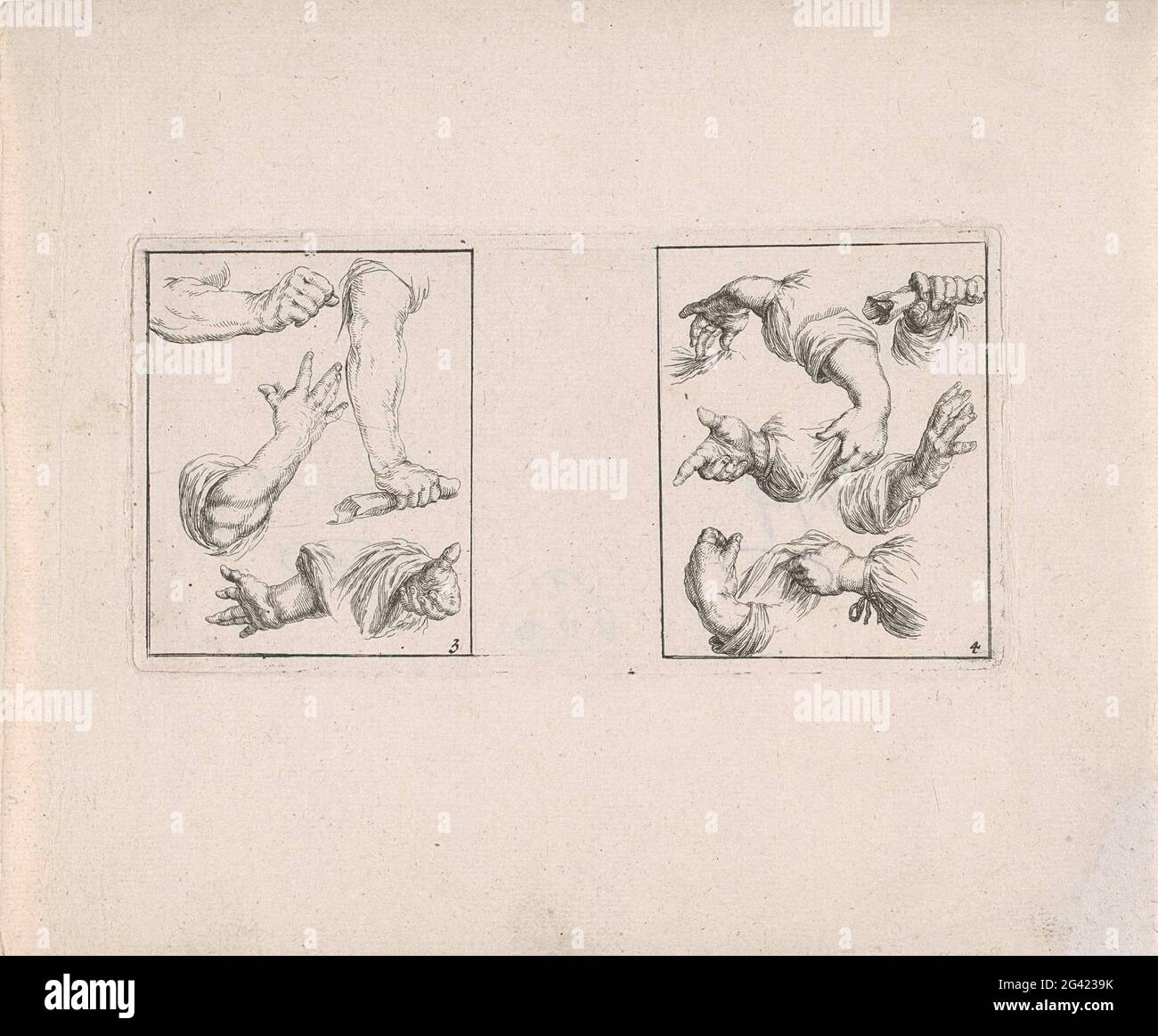 Linke zeichnungsbeispiele livre pour apprendre -Fotos und -Bildmaterial ...