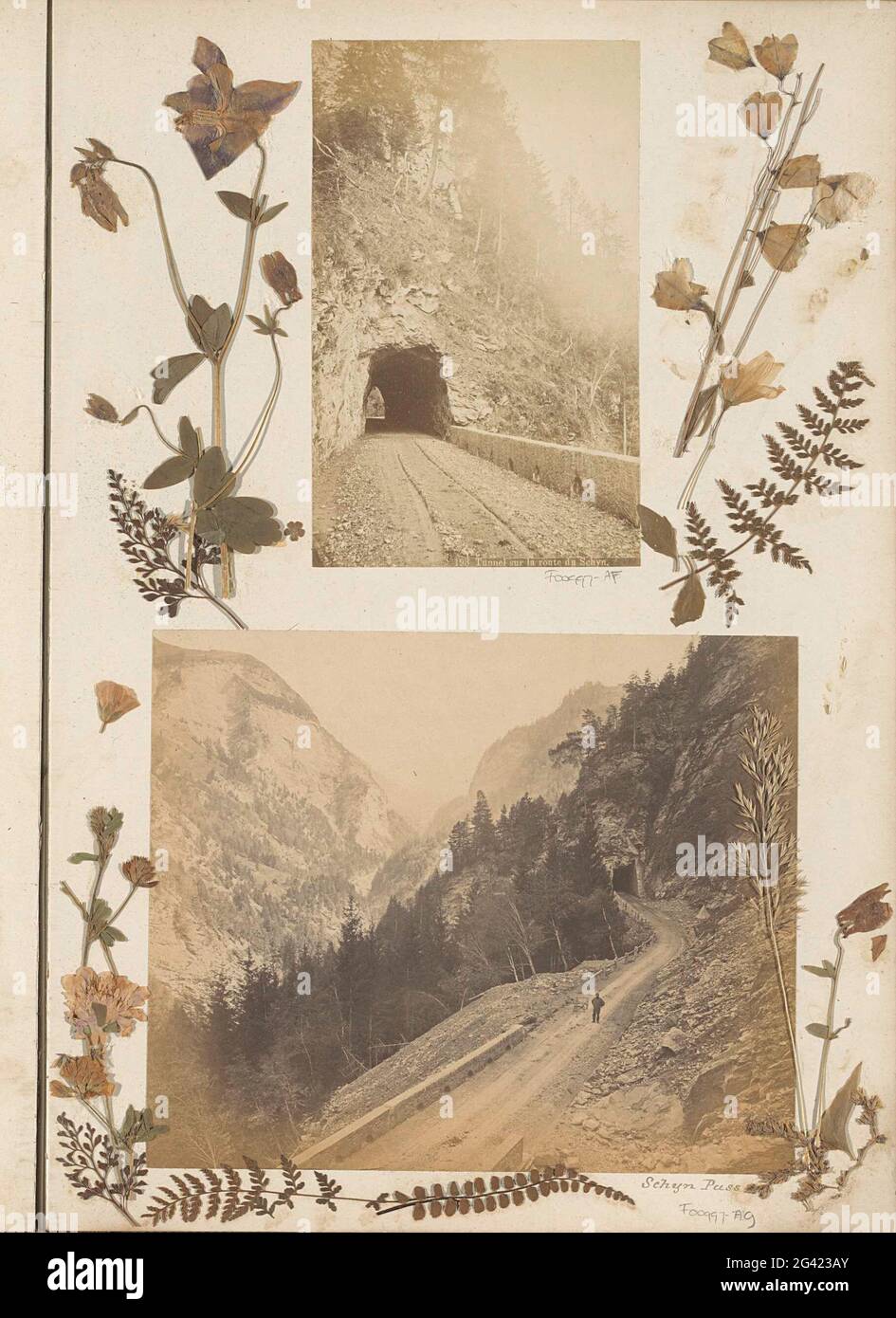 Mann mit Wagen auf dem Schyn-Pass in der Schweiz; Schyn-Pass. Teil des ...