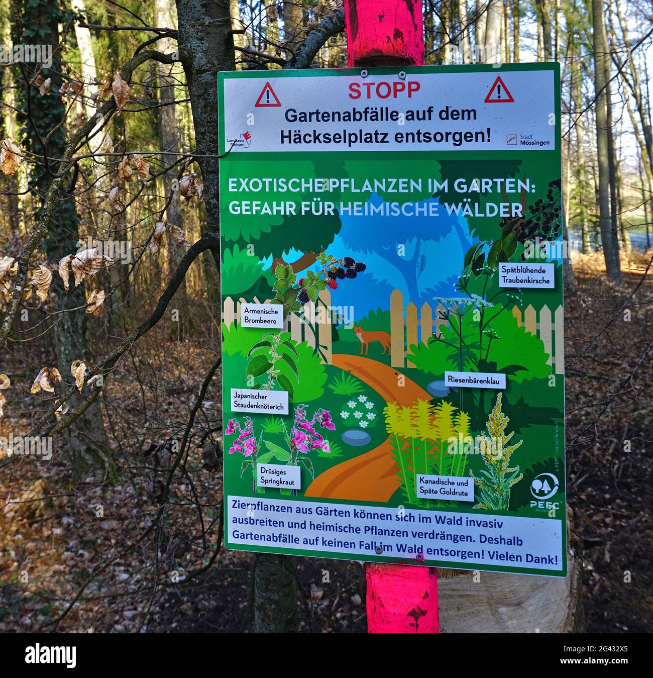 Entsorgung von gartenabfällen -Fotos und -Bildmaterial in hoher ...