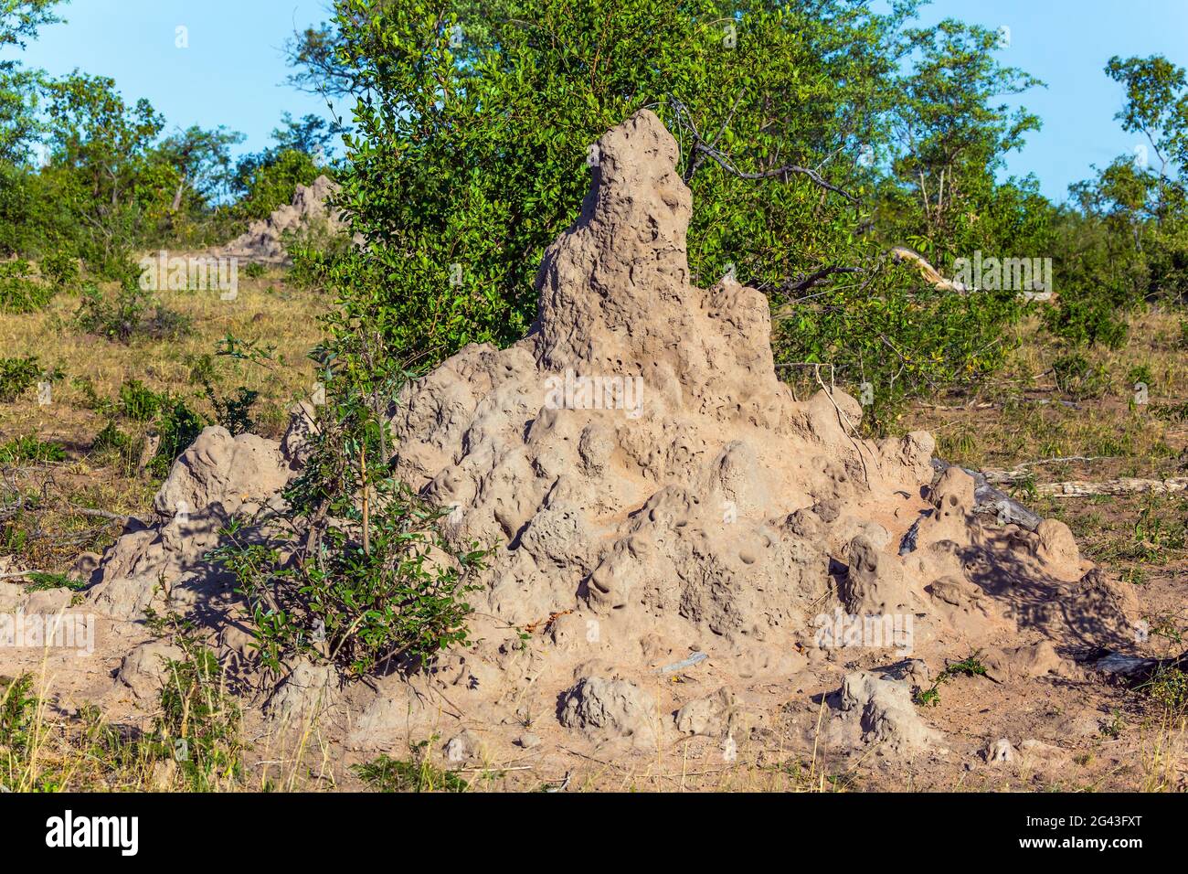 Kegelf rmig -Fotos und -Bildmaterial in hoher Auflösung – Alamy