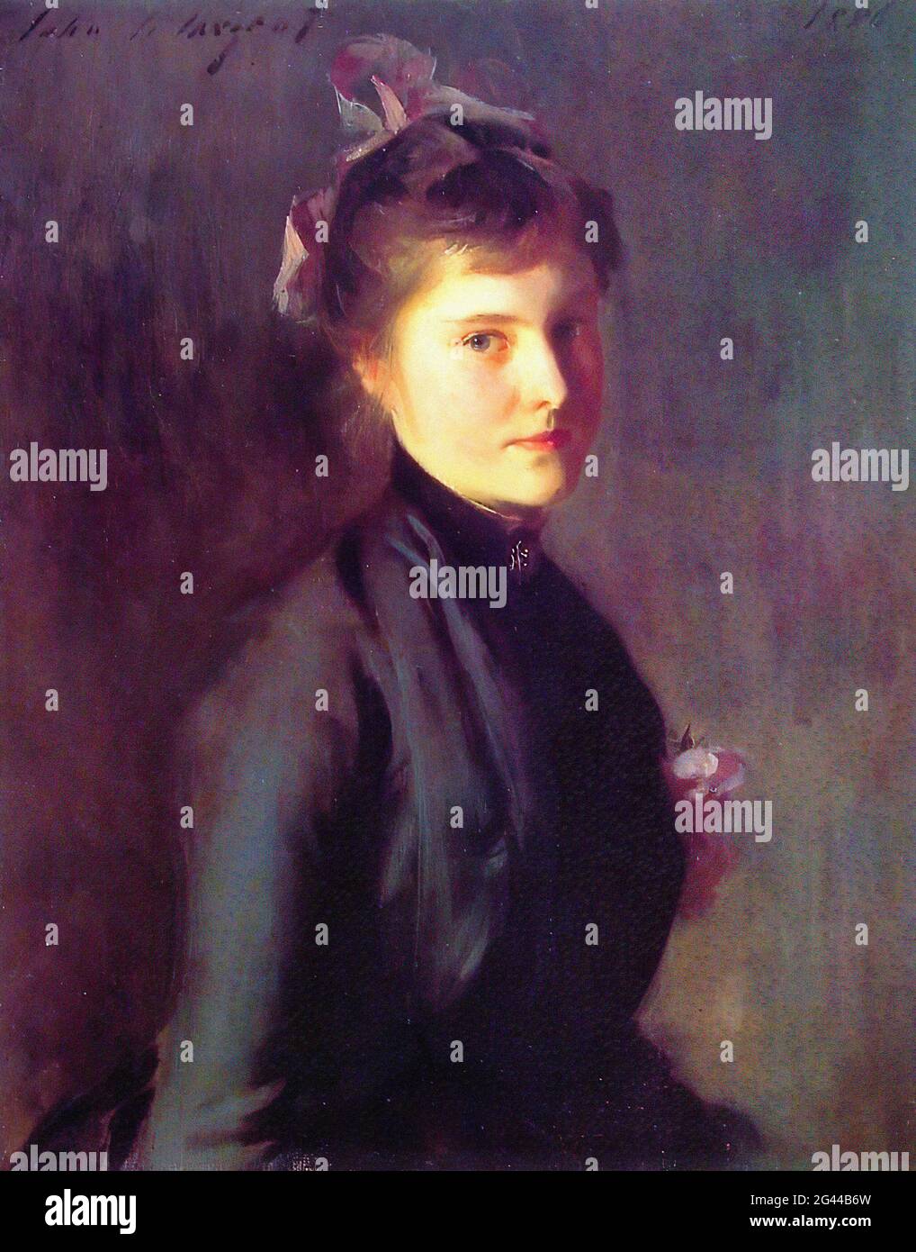 Violettes sargent -Fotos und -Bildmaterial in hoher Auflösung – Alamy