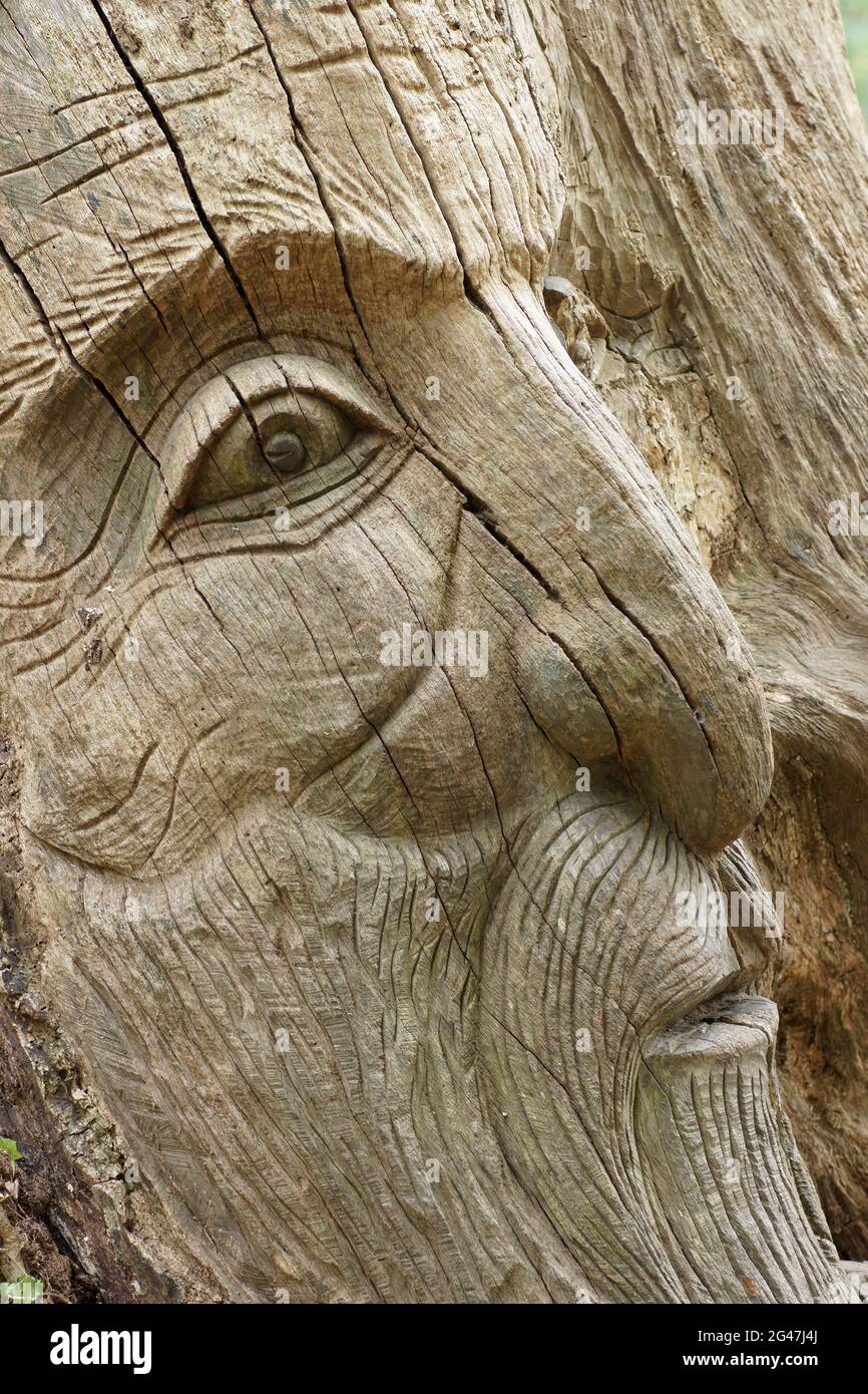 Telling story -Fotos und -Bildmaterial in hoher Auflösung – Alamy