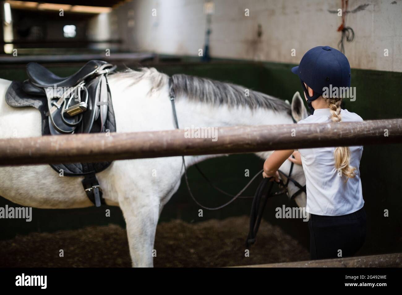 Teenage girl riding pony pony -Fotos und -Bildmaterial in hoher ...