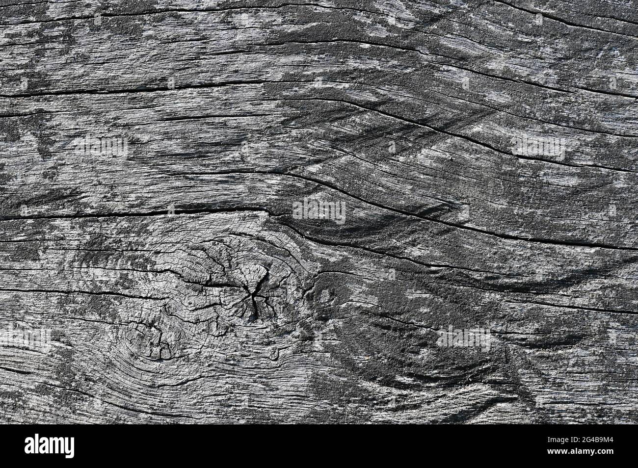 Foto de textura de madera -Fotos und -Bildmaterial in hoher Auflösung – Alamy