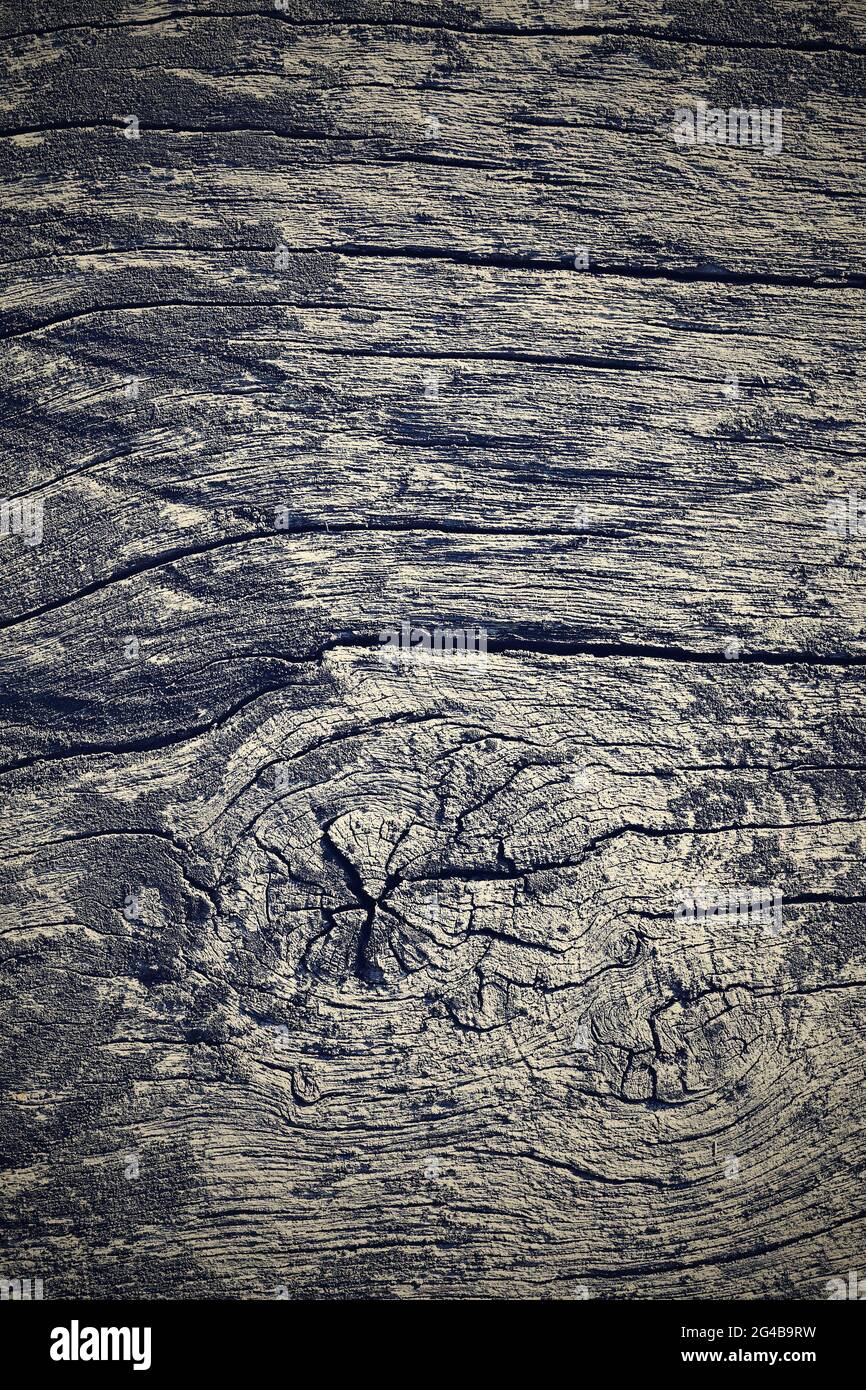 Foto de textura de madera -Fotos und -Bildmaterial in hoher Auflösung – Alamy