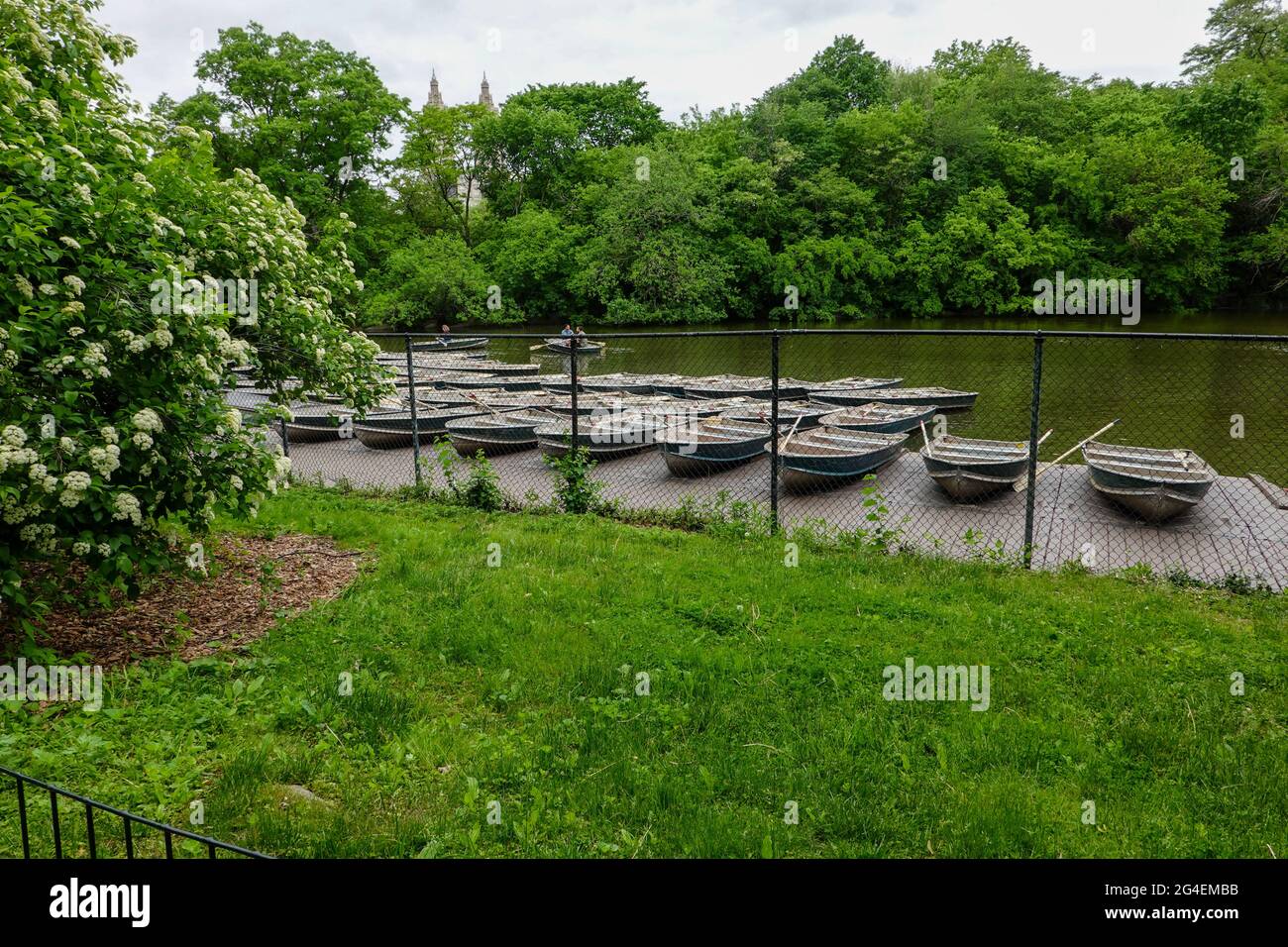Boote am Ufer und Rudern auf dem See im Central Park, New York, NY, USA ...