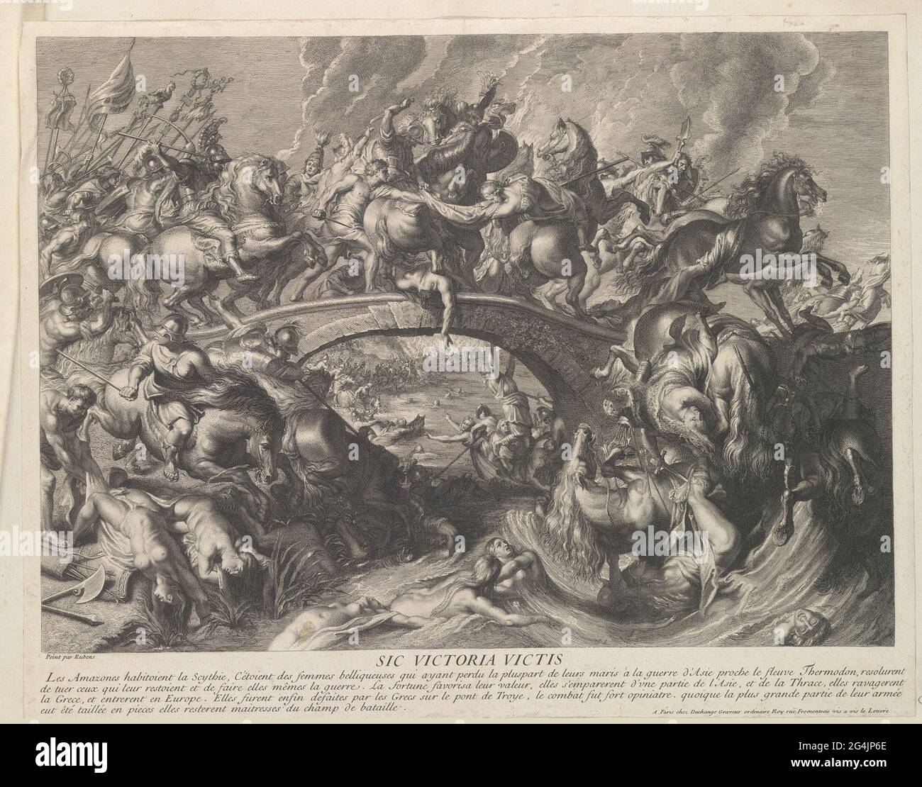 Kampf der amazonen -Fotos und -Bildmaterial in hoher Auflösung – Alamy