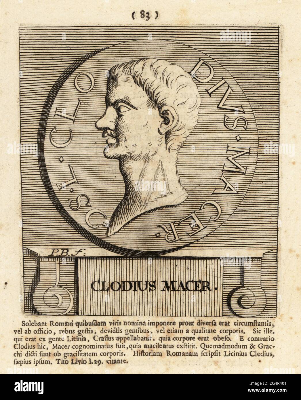 Clodius macer -Fotos und -Bildmaterial in hoher Auflösung – Alamy