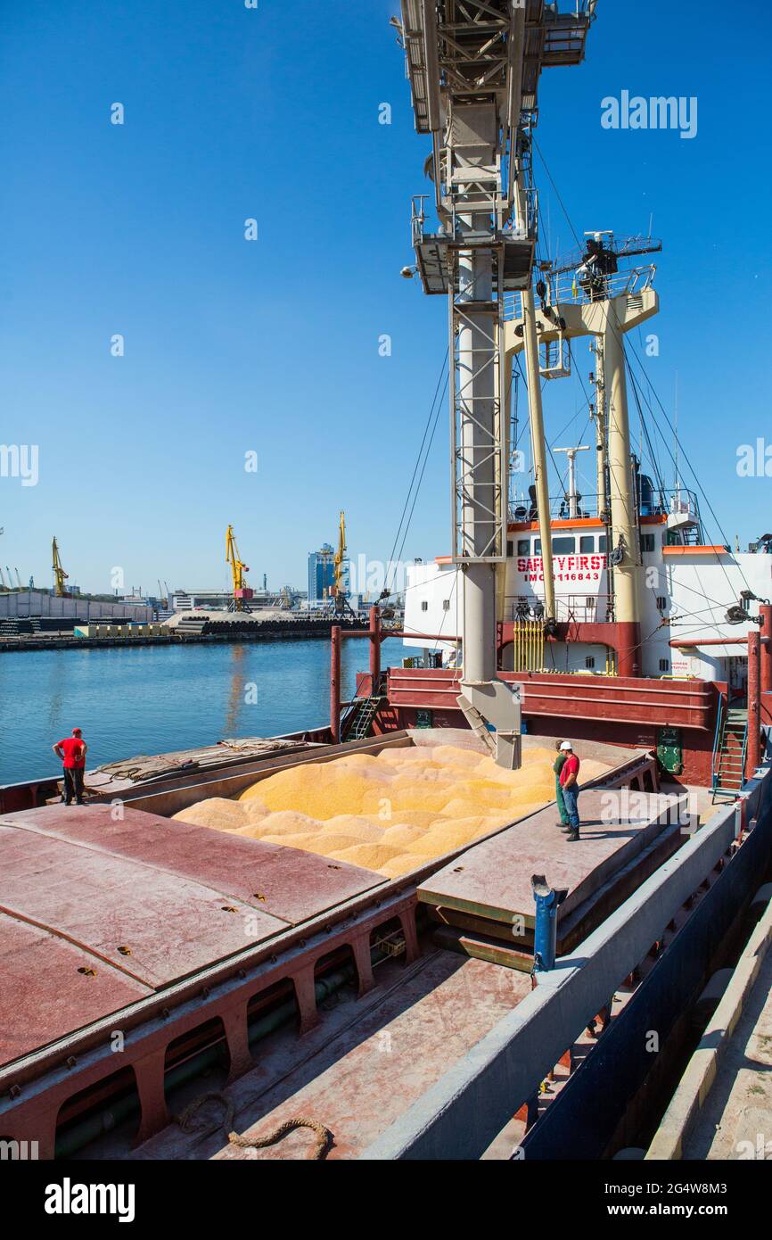 Mais im Bulk Carrier Hold. Gießen halten von Mais. Aufzugkran-Ladungen ...