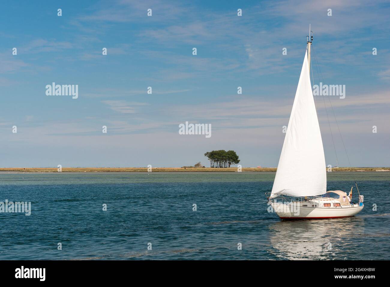 Ein einflügeltes Segelboot, das entlang der Bucht Schlei segelt ...