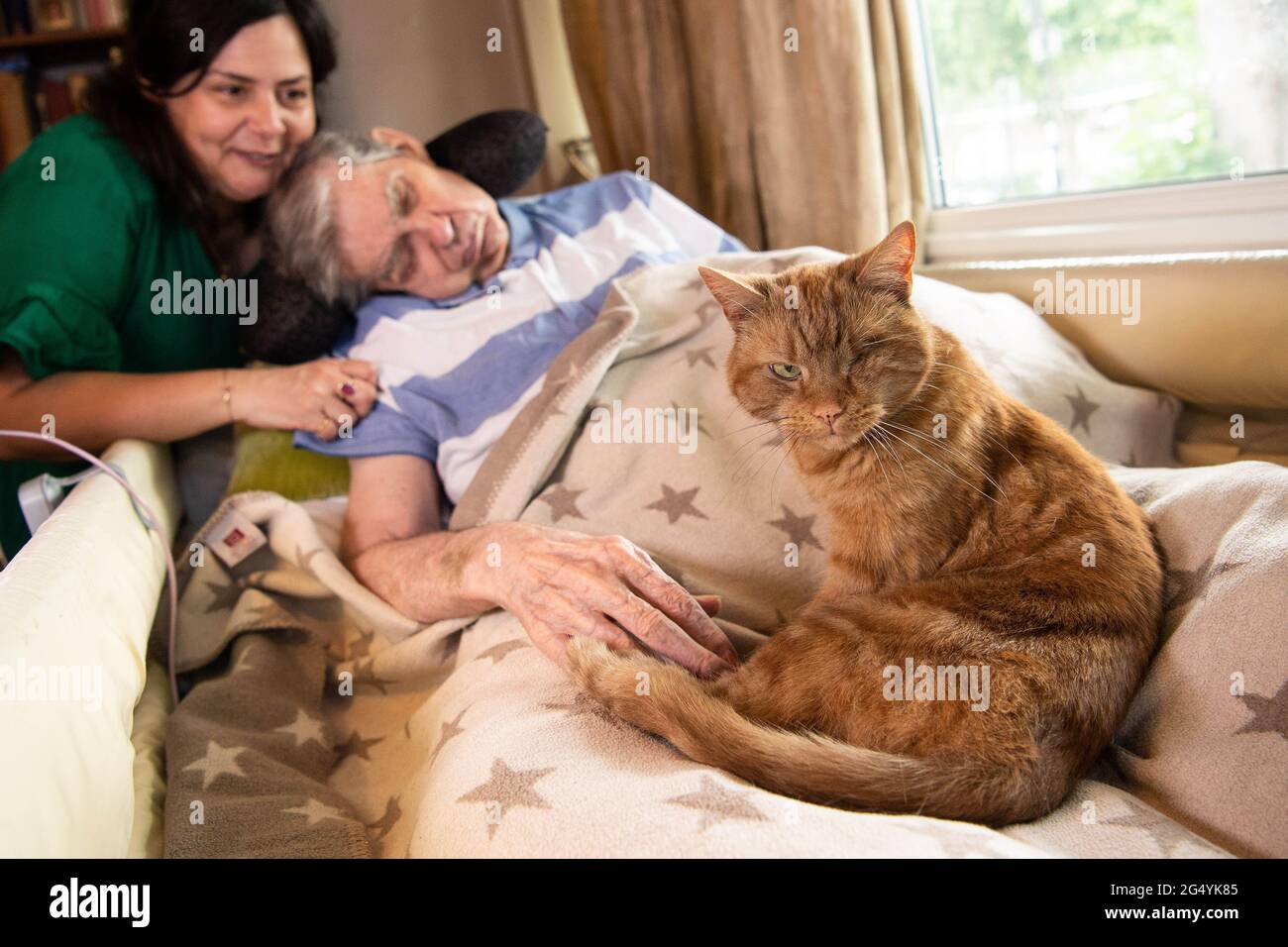 Purina besser zusammen -Fotos und -Bildmaterial in hoher Auflösung – Alamy