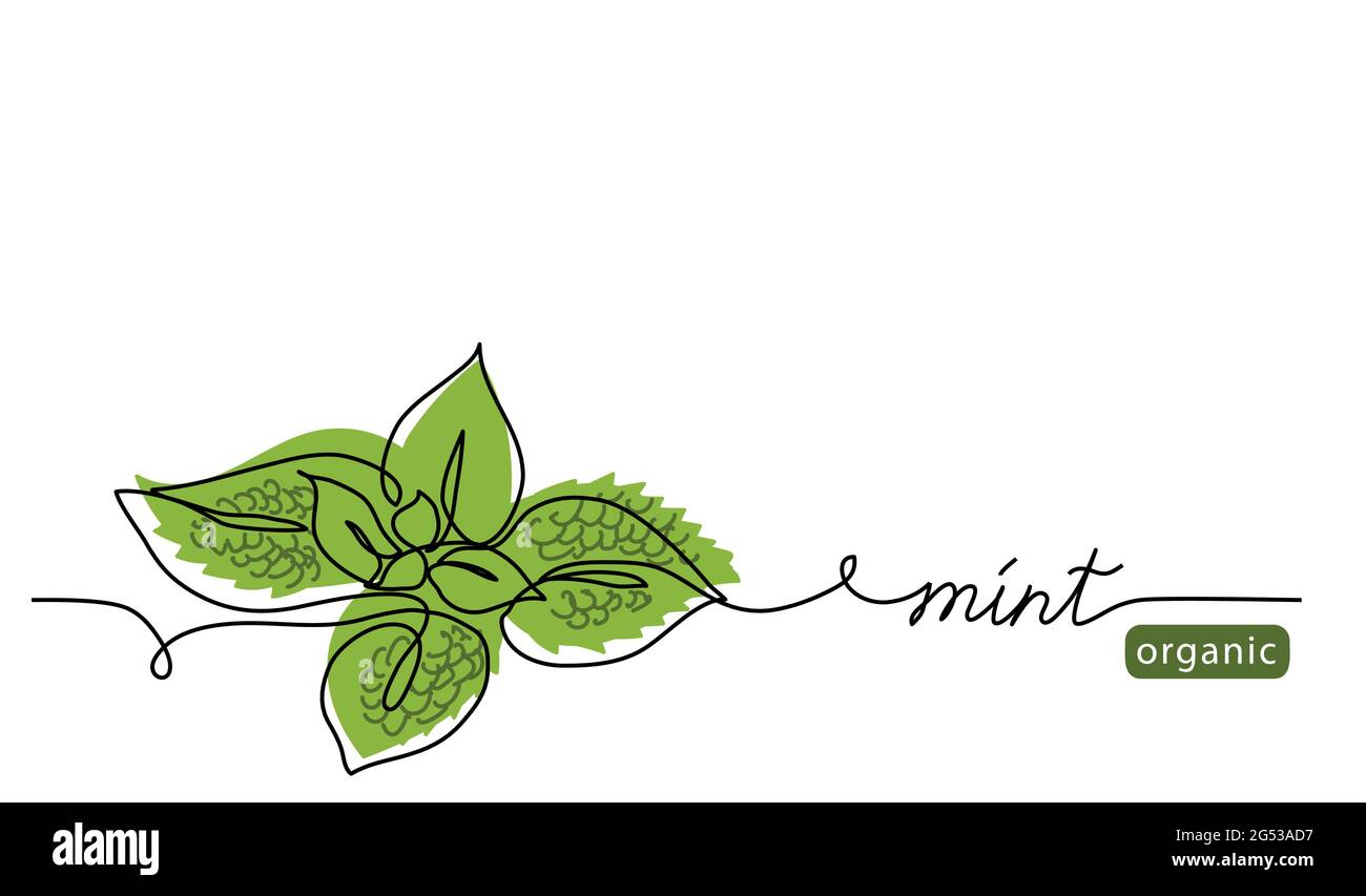 Minze blatt illustration -Fotos und -Bildmaterial in hoher Auflösung ...