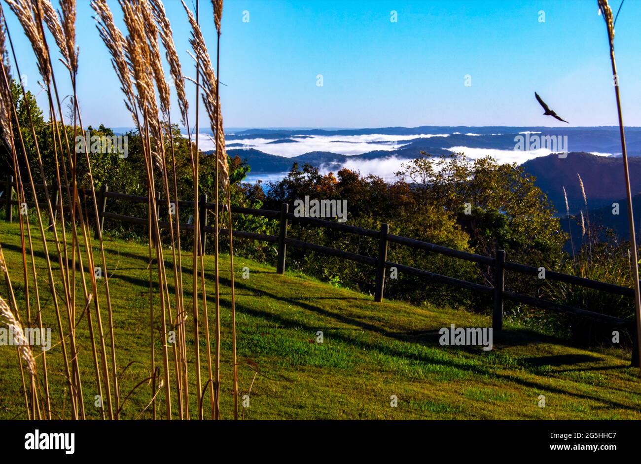 Traurige ente -Fotos und -Bildmaterial in hoher Auflösung - Seite 2 - Alamy