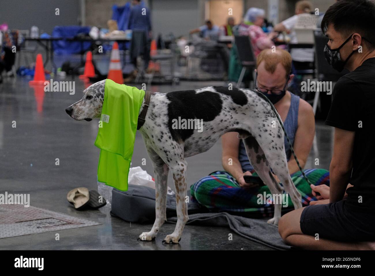 Thomas Crouch und Billy Cheng, die kürzlich aus Ohio hierher gezogen ...