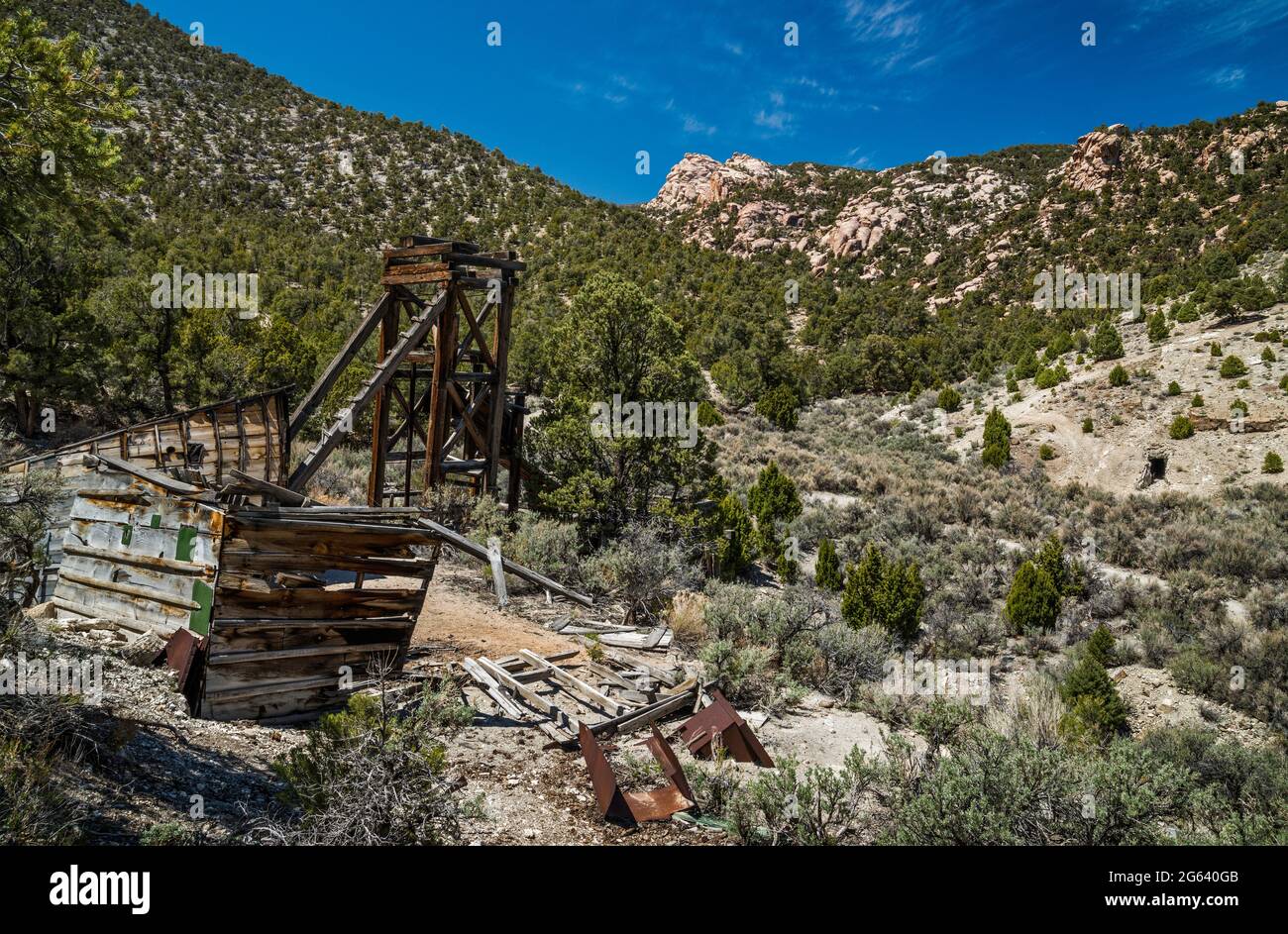 Pinyon wacholder wald -Fotos und -Bildmaterial in hoher Auflösung – Alamy