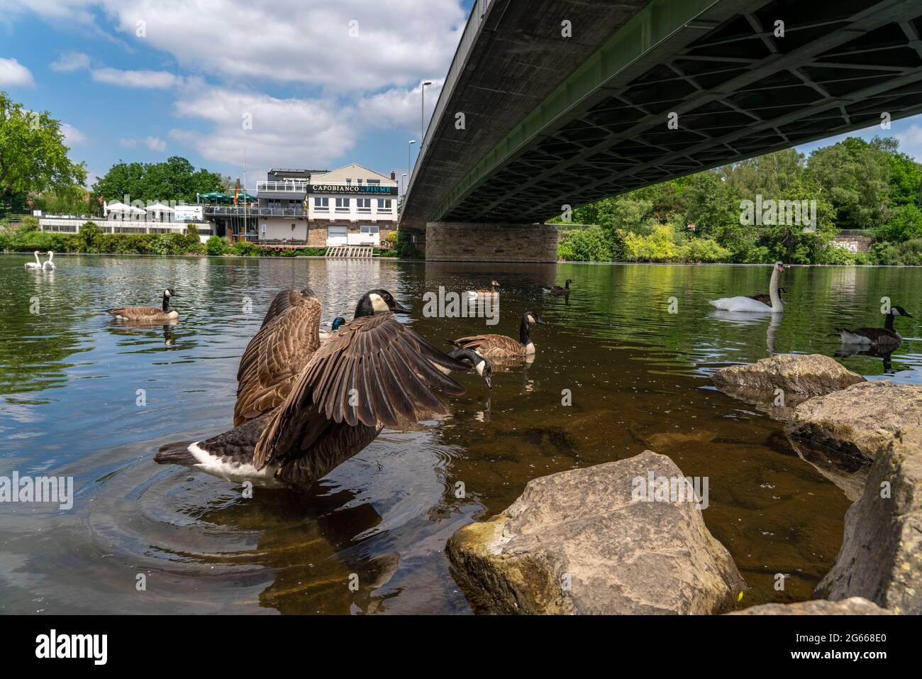 Kurt Schumacher Brucke Essen