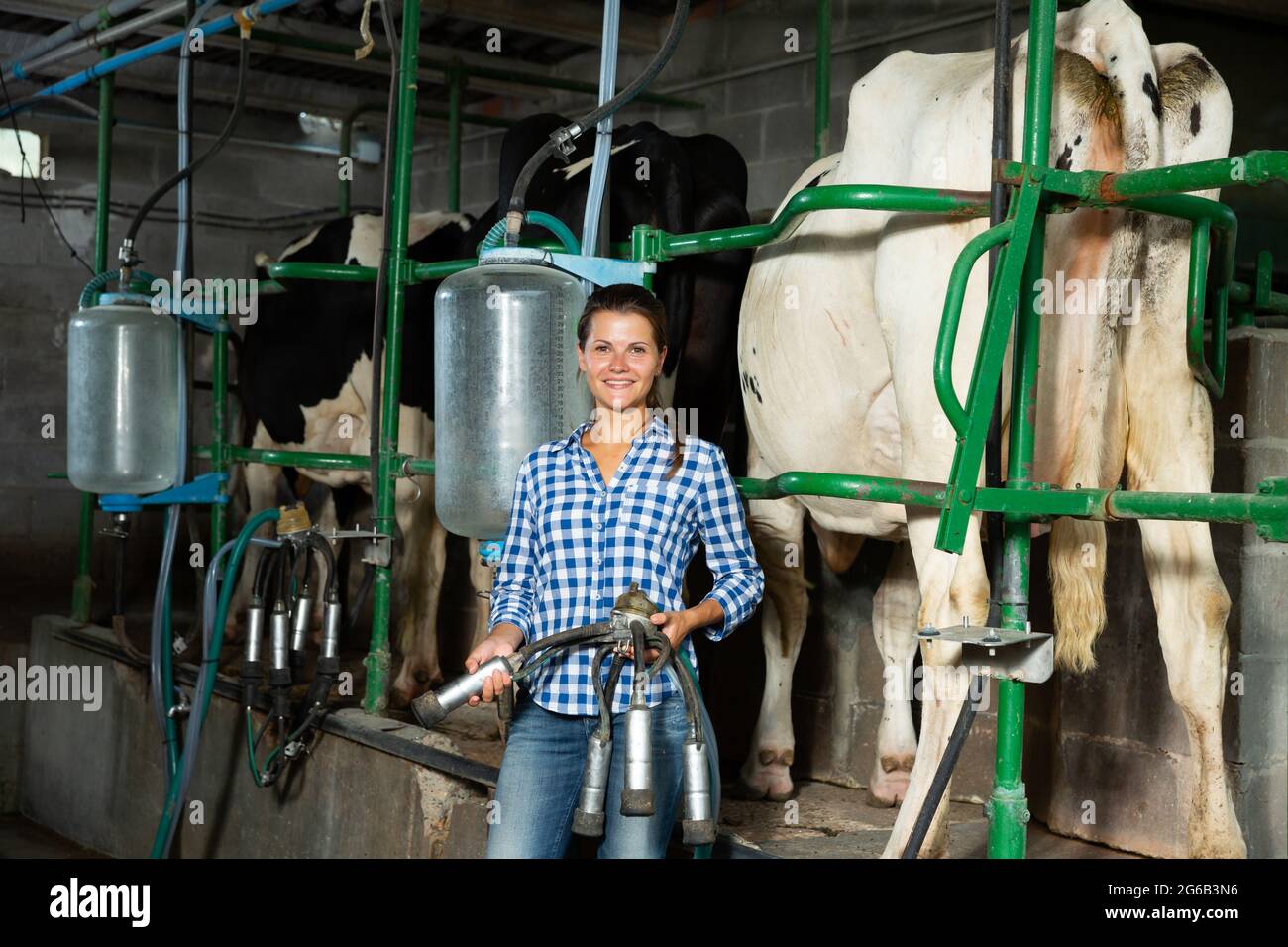 Junge melker die Maschine Melken in der Scheune Stockfotografie - Alamy