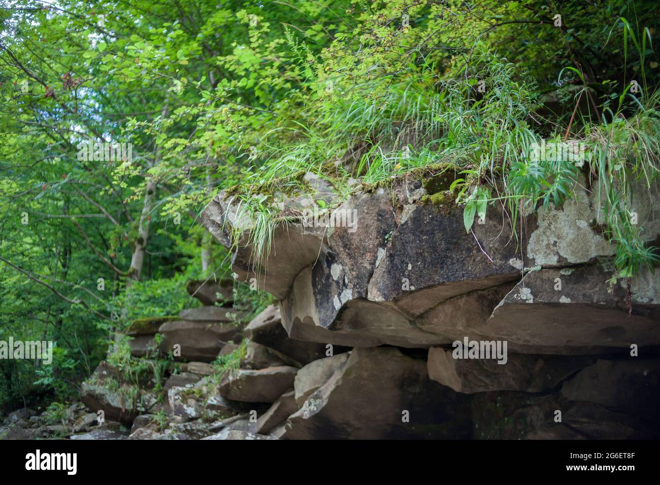 Felsen flechten berg gras -Fotos und -Bildmaterial in hoher Auflösung ...