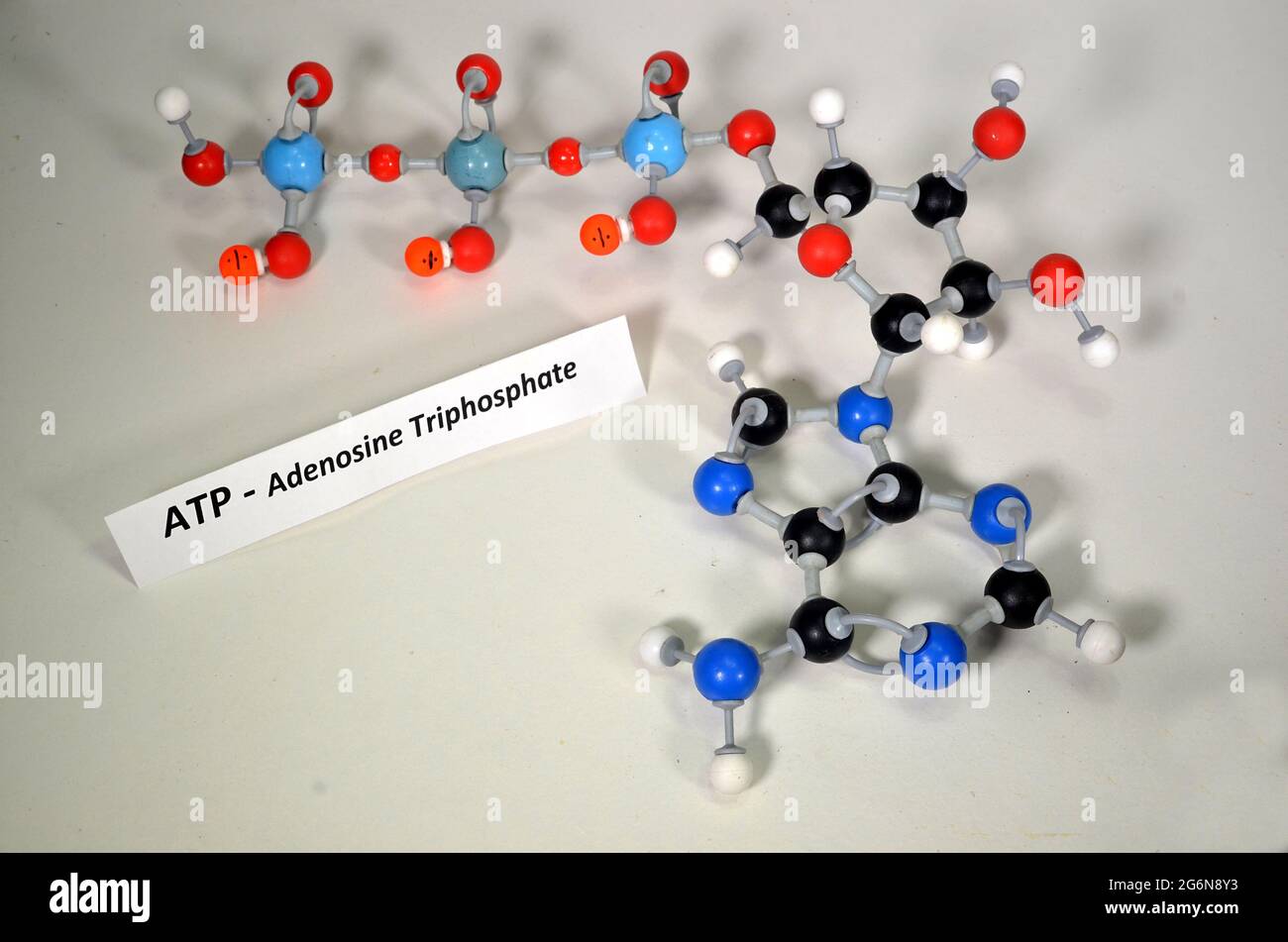 Adenosintriphosphat atp -Fotos und -Bildmaterial in hoher Auflösung – Alamy