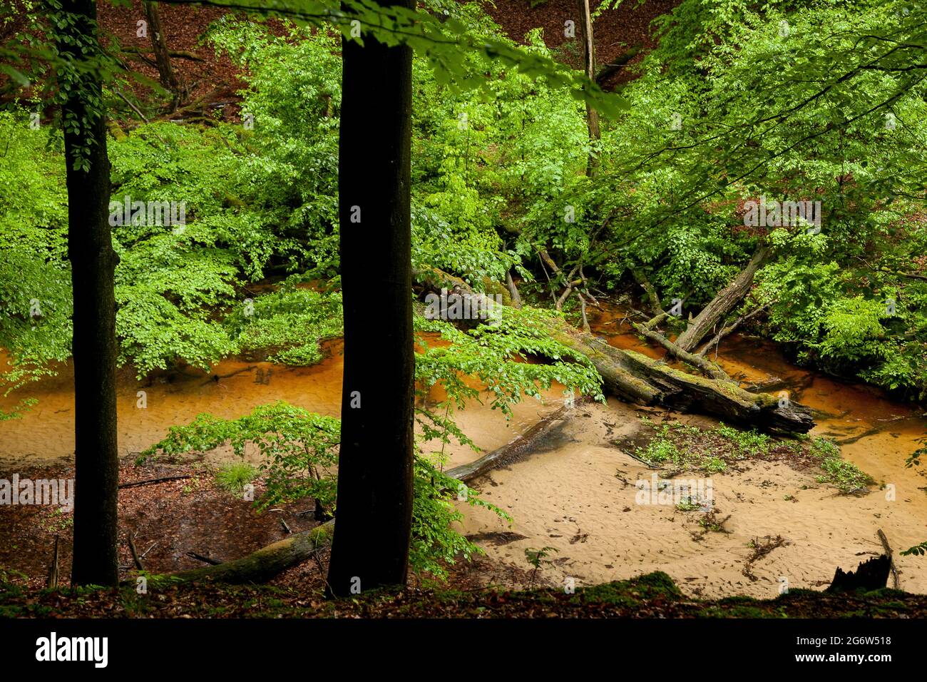 Ein ast im verlauf eines baches -Fotos und -Bildmaterial in hoher ...