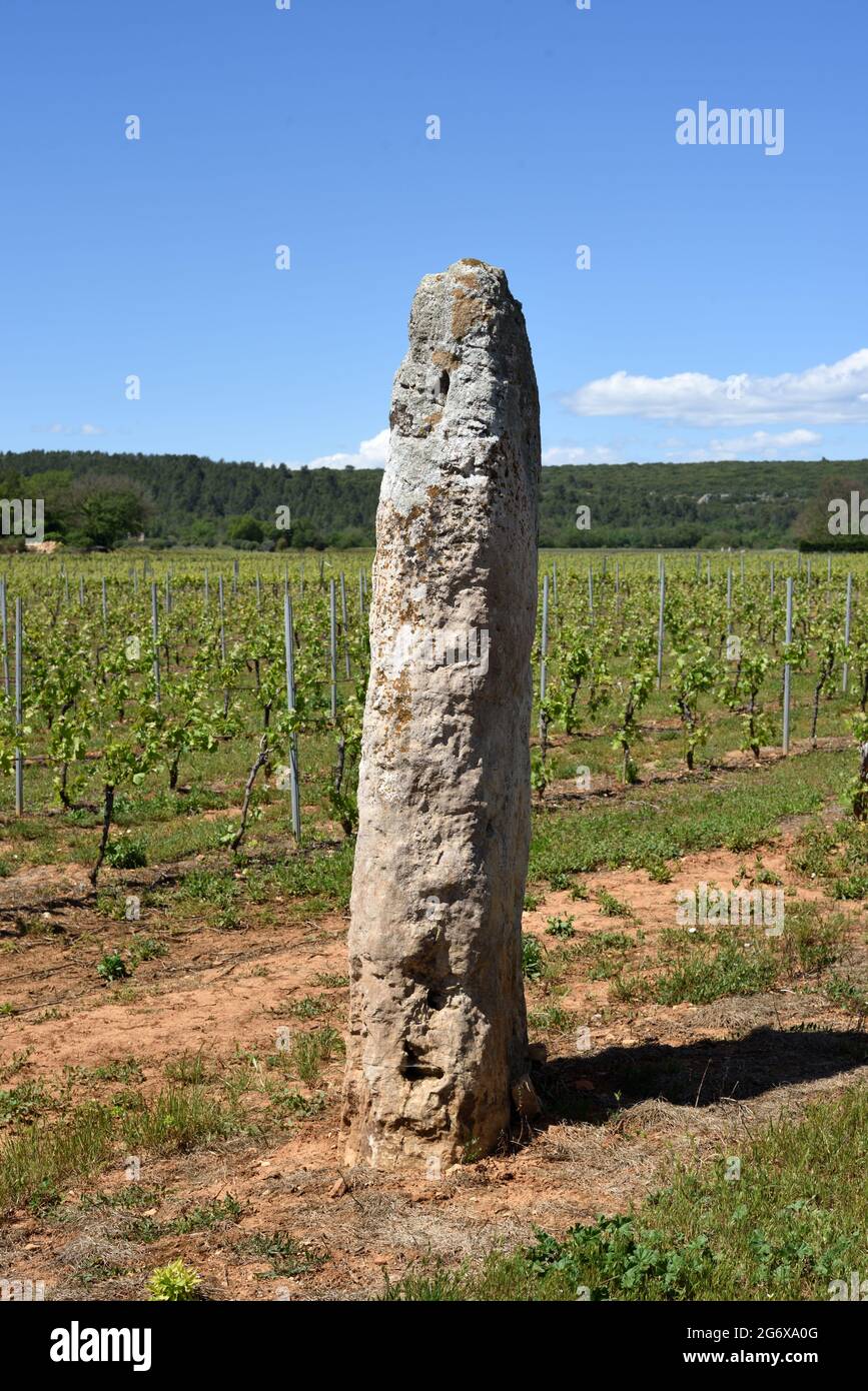 Cabasse -Fotos und -Bildmaterial in hoher Auflösung – Alamy