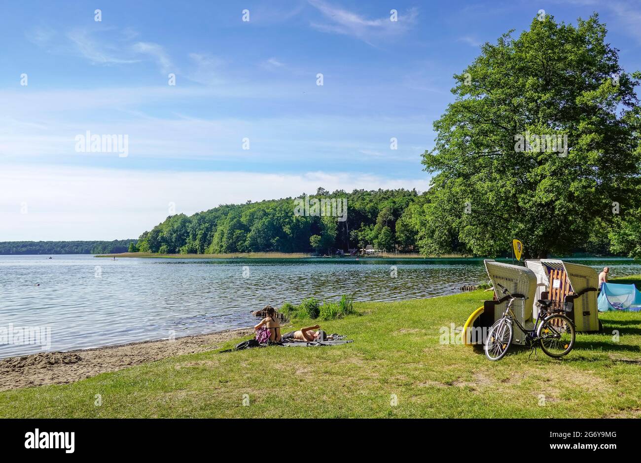 Grosser stechlin -Fotos und -Bildmaterial in hoher Auflösung – Alamy