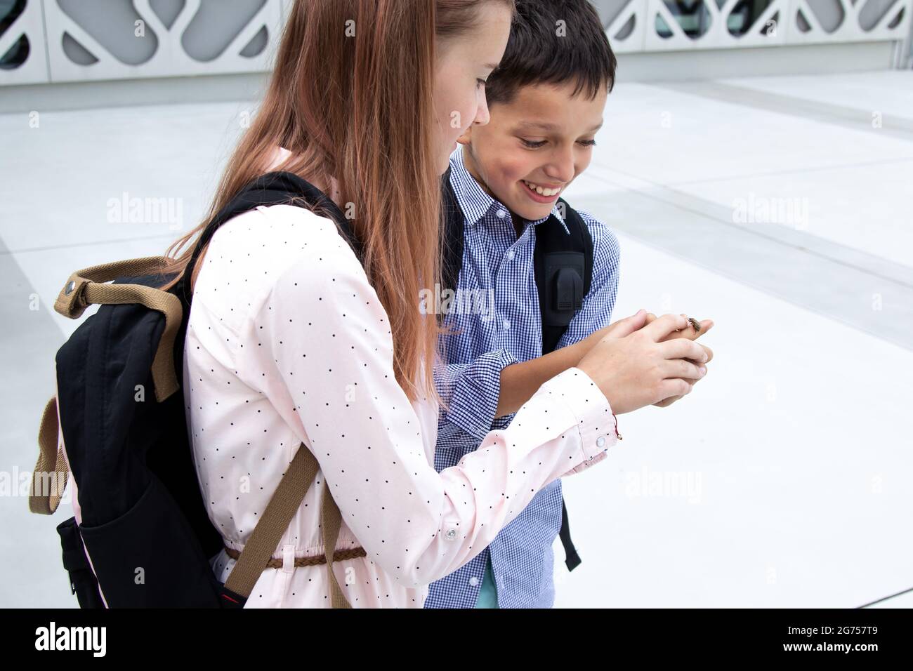 Käfer rücken -Fotos und -Bildmaterial in hoher Auflösung – Alamy