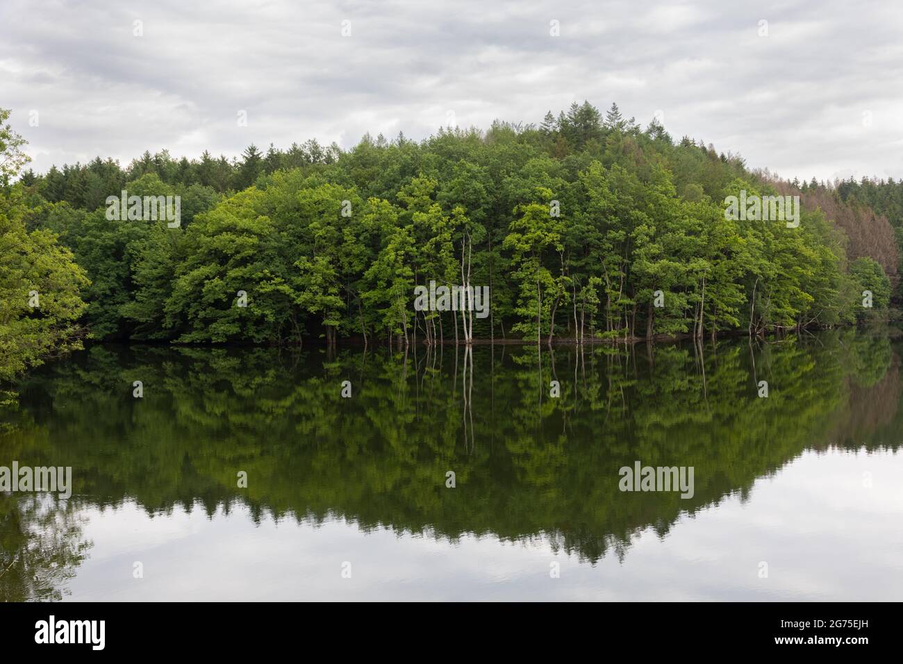 Stausee der Bevertalsperre im Bergischen Land, Nordrhein-Westfalen ...