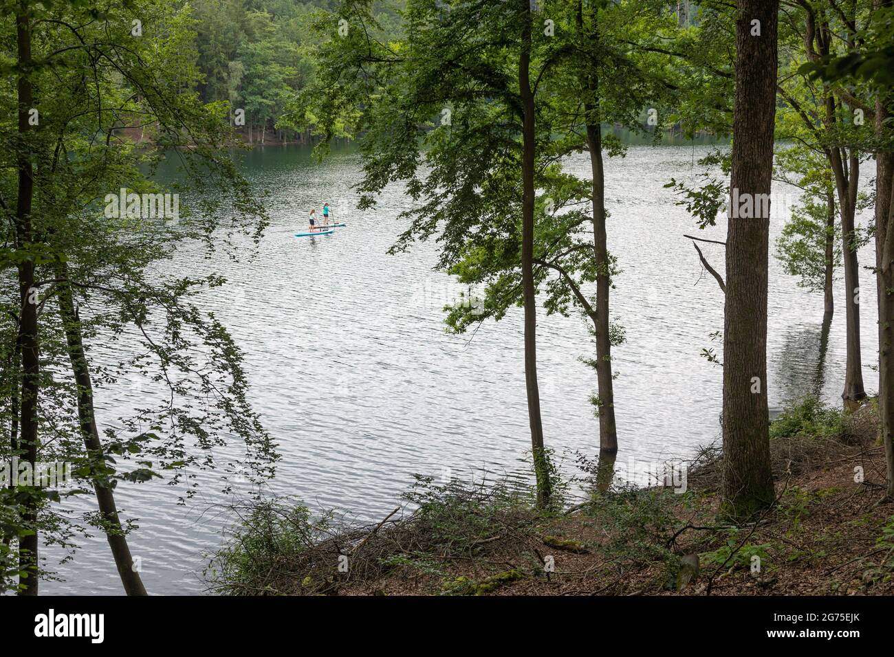 Stausee der Bevertalsperre im Bergischen Land, Nordrhein-Westfalen ...