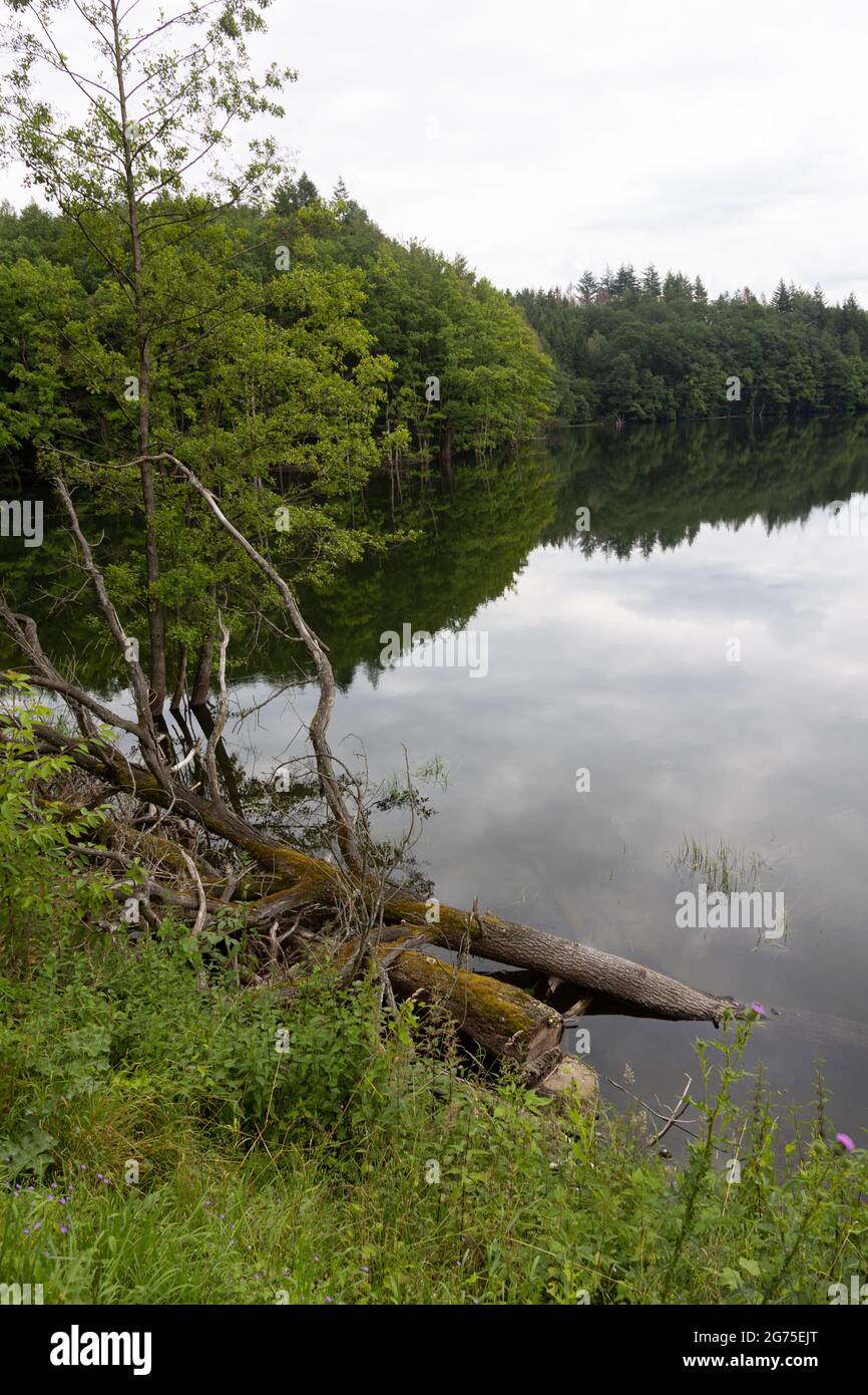 Stausee der Bevertalsperre im Bergischen Land, Nordrhein-Westfalen ...