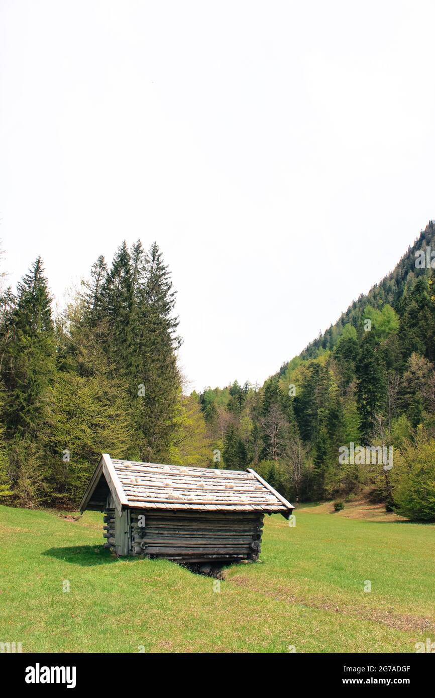 Scheune im wald -Fotos und -Bildmaterial in hoher Auflösung – Alamy