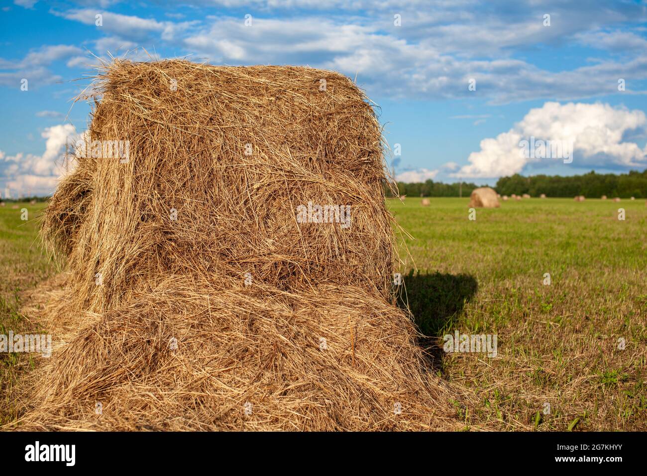 Landwirtschaftliches Feld mit geerntetem Heu und im Sommer Stapeln ...