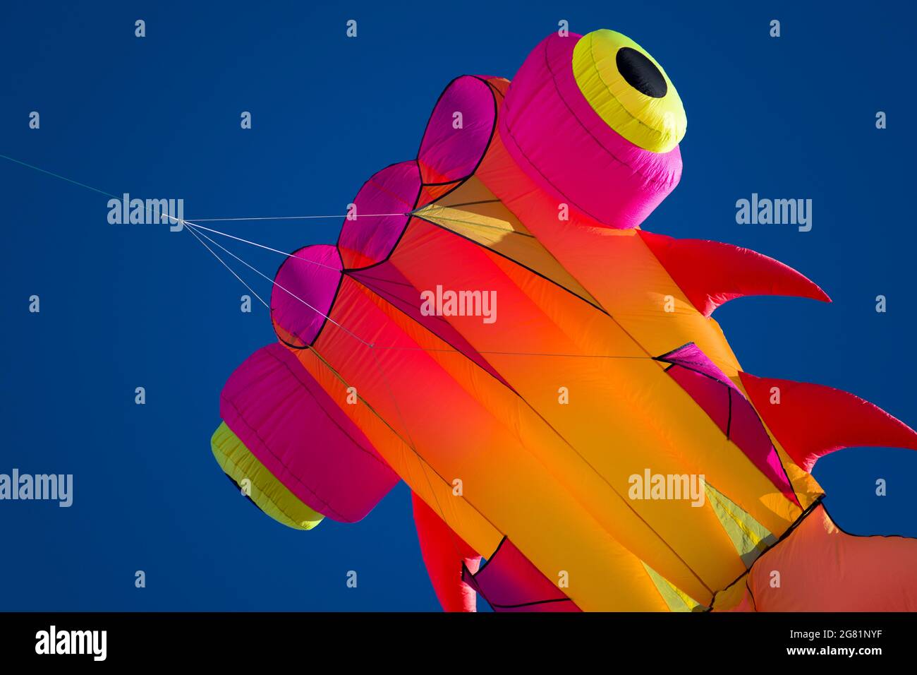 Großer Drachen mit einem orange und fuchsia Fisch bilden sich mit ...