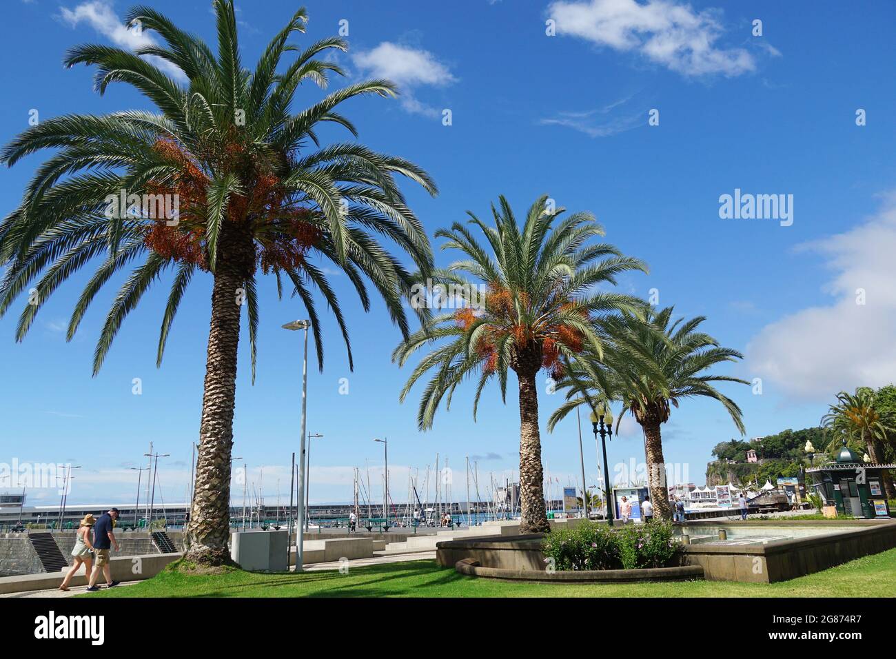 Funchal promenade -Fotos und -Bildmaterial in hoher Auflösung – Alamy