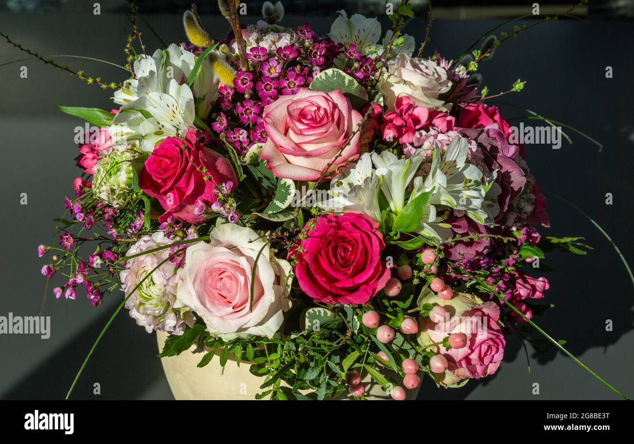 Natur, Pflanzen, Blumen, Blumenstrauß, Geburtstagsstrauß, pinky Rosen ...