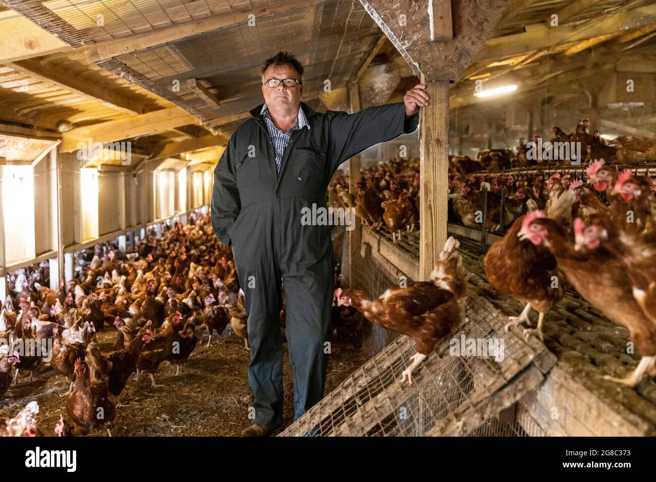 Der Eierbauer Douglas Wanstall, der auf seinem Bauernhof in Kent tätig ...