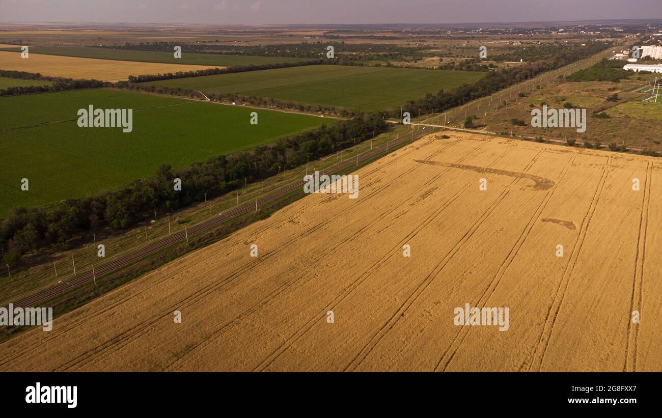 Weizenfeld draufsicht -Fotos und -Bildmaterial in hoher Auflösung – Alamy