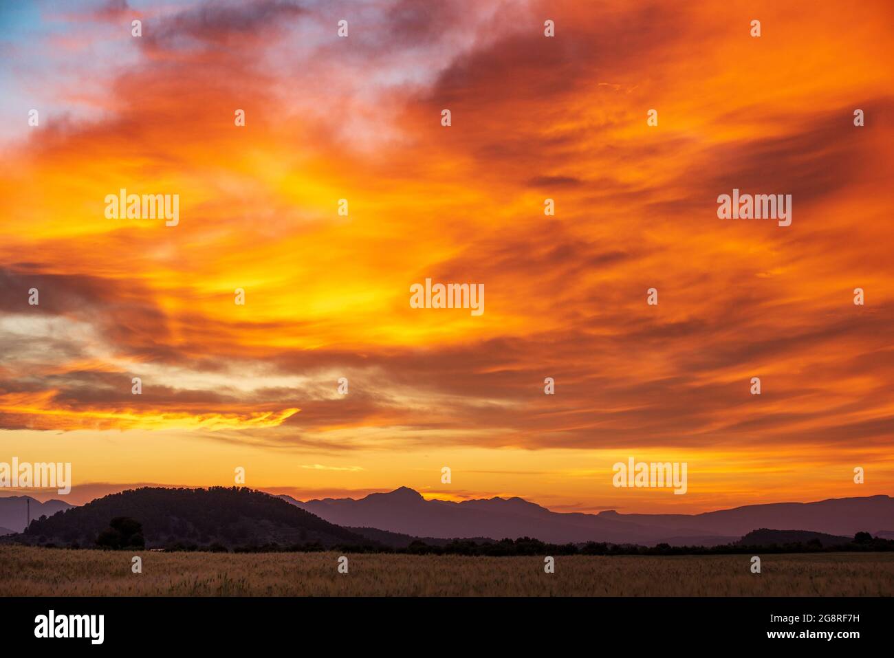 Denn das ist das himmelreich -Fotos und -Bildmaterial in hoher ...